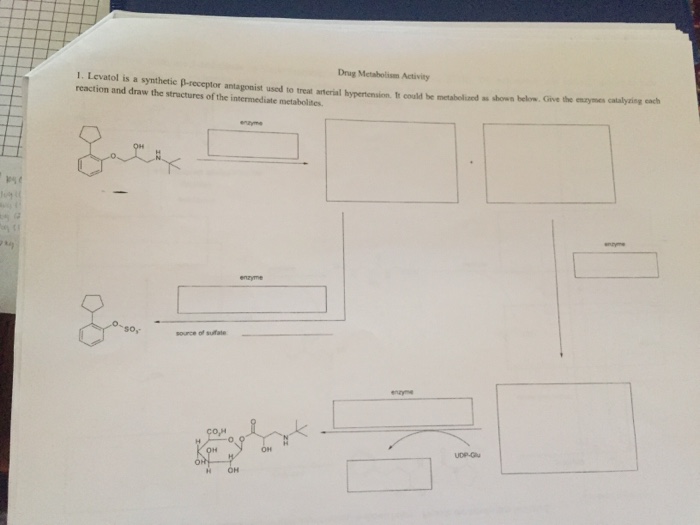 Dnug Mctabolisem Activity 1. Levatol is a synthetic | Chegg.com