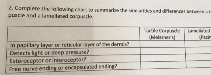 Solved Exercise 17 PART I. Check Your Understanding Activity | Chegg.com