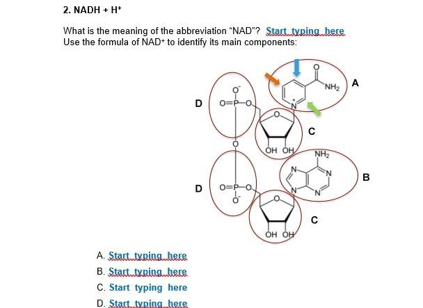 Solved 2. NADH + H+ What is the meaning of the abbreviation | Chegg.com