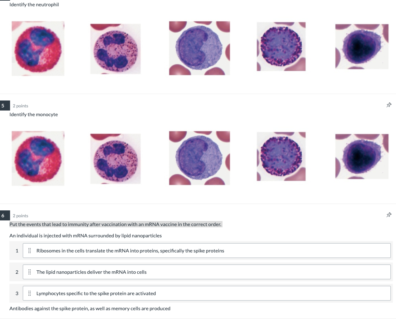 Solved What is the function of the structures highlighted in | Chegg.com