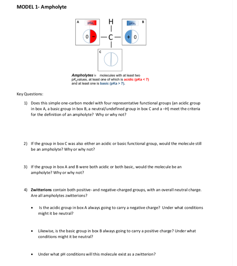 Solved MODEL 1- Ampholyte pka H B рка. 0 C-+ 0 Ampholytes' | Chegg.com