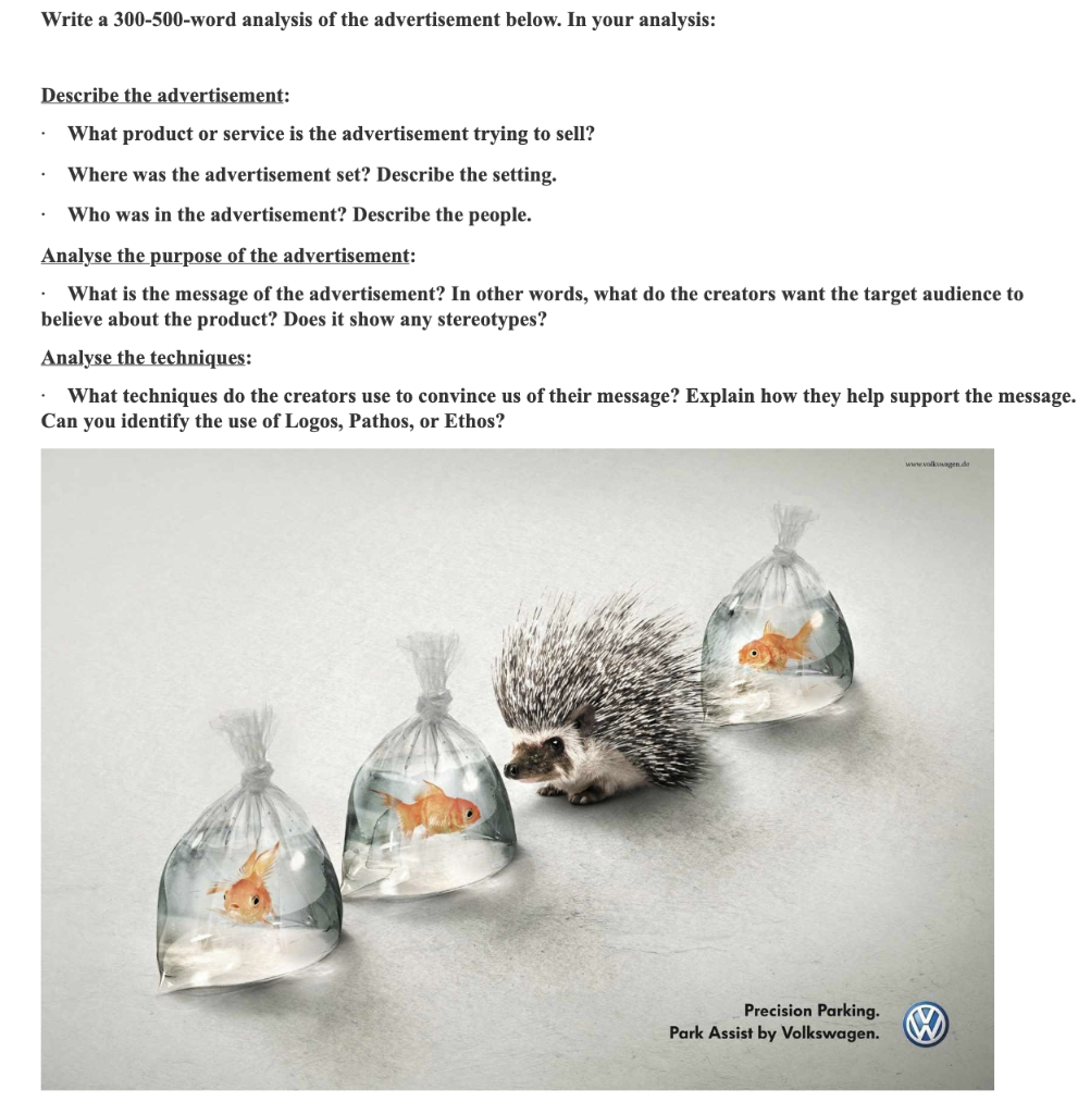 Write a 300-500-word analysis of the advertisement | Chegg.com