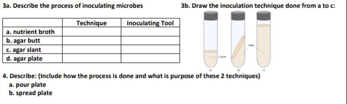 Solved 3a. Describe the process of inoculating microbes 3b. | Chegg.com