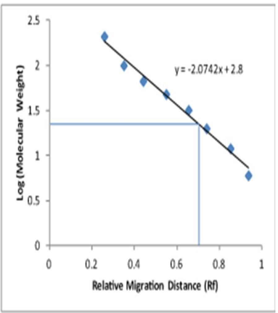 Solved Find out the molecular weight if the Rf value is 0.6 | Chegg.com
