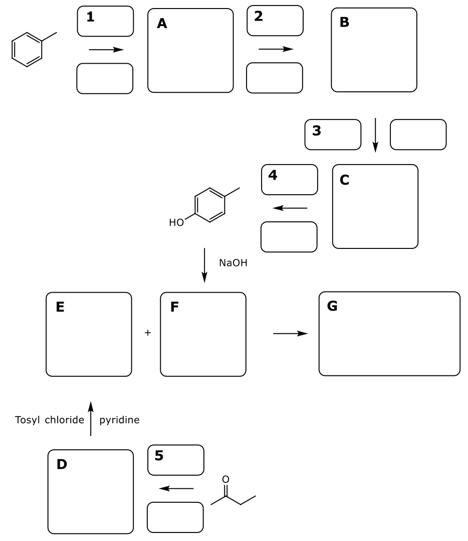Solved Complete the scheme below by filling appropriate | Chegg.com