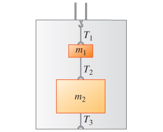 Solved Two masses, m1 = 1.1 kg and m2 = 2.3 kg, are hung | Chegg.com