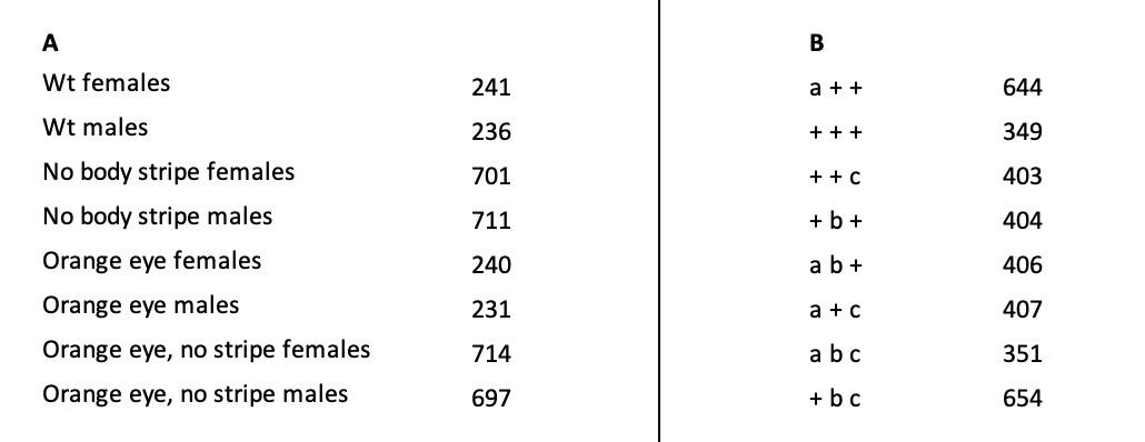 Solved Data set A summarizes F2 numbers from an F1 cross | Chegg.com