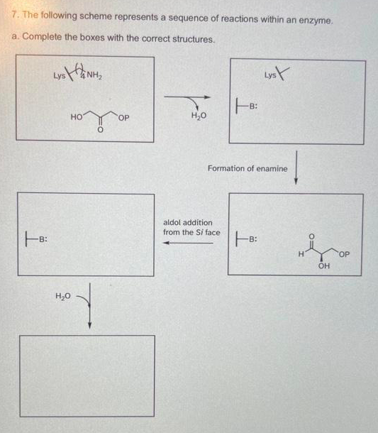 Solved The following scheme represents a sequence of | Chegg.com