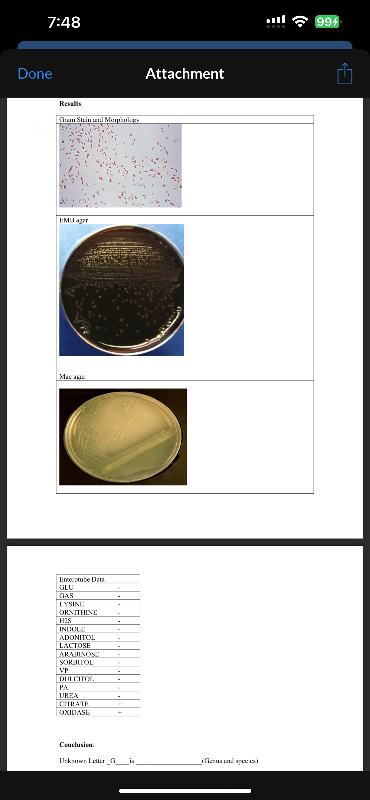 Solved Lab result A is- Options include staphylococcus | Chegg.com