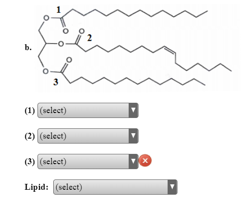 Solved Identify the components of each lipid and classify it | Chegg.com