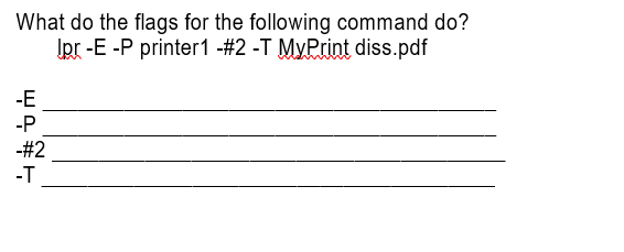 Solved What do the flags for the following command do? Ipr | Chegg.com