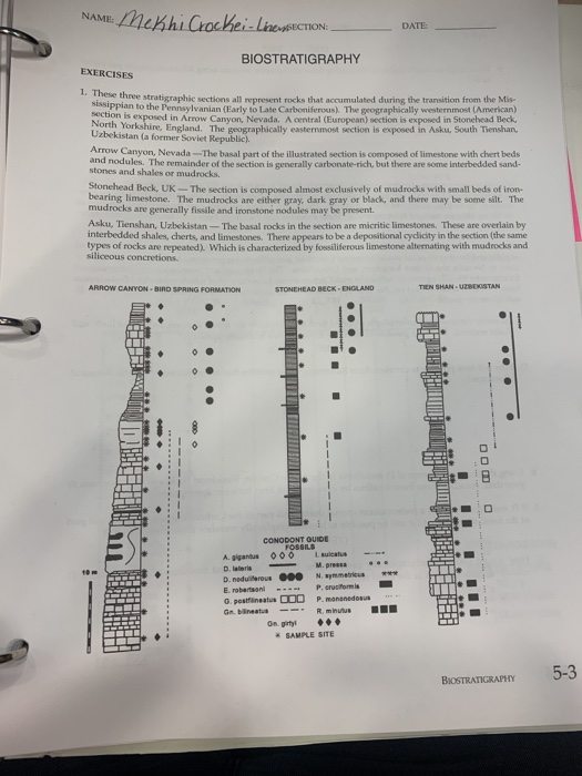Solved NAME: DATE BIOSTRATIGRAPHY EXERCISES thaes | Chegg.com