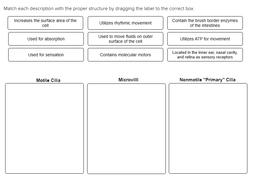 Solved Match each description with the proper structure by | Chegg.com