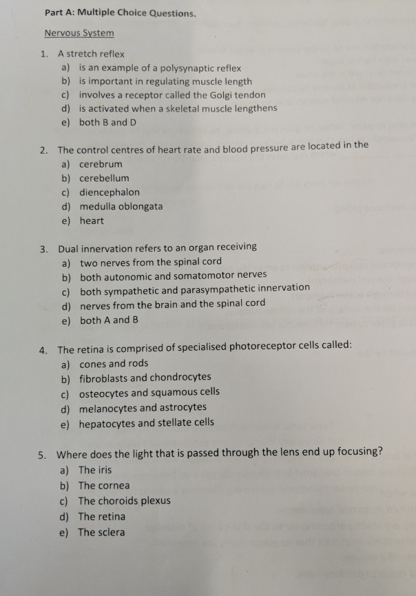 Solved Part A: Multiple Choice Questions. A stretch reflex | Chegg.com