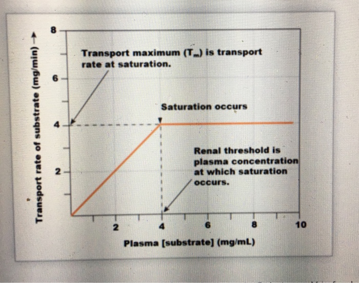 Solved 8 Transport maximum (T) is transport rate at | Chegg.com