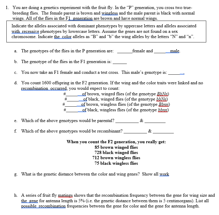 Solved 1. You are doing a genetics experiment with the fruit | Chegg.com