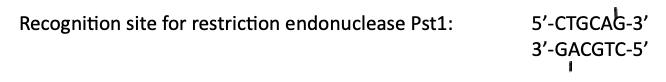 Recognition site for restriction endonuclease Pst1: | Chegg.com