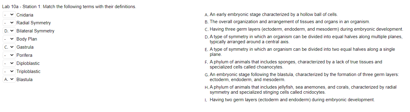 [Solved]: Lab 10a - Station 1: Match the following terms wi