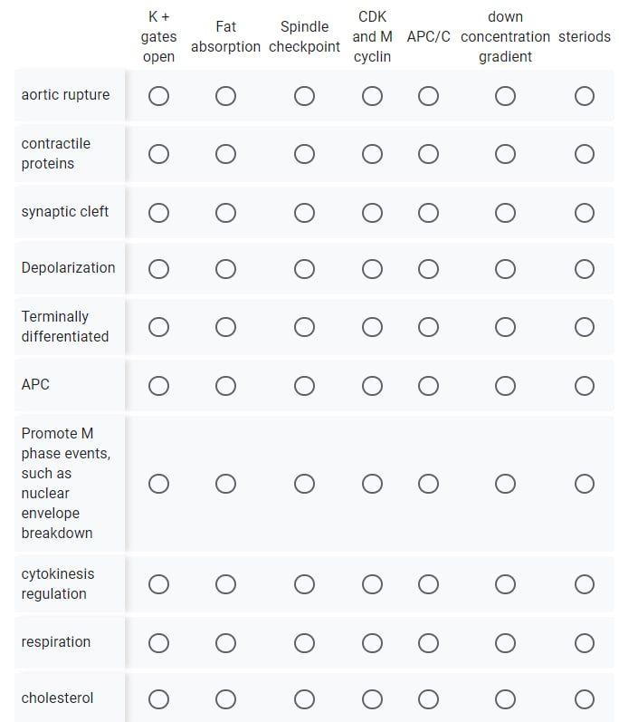 Solved K+ gates open Fat Spindle absorption checkpoint CDK | Chegg.com