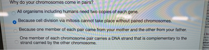 Solved Why do your chromosomes come in pairs? All organisms | Chegg.com