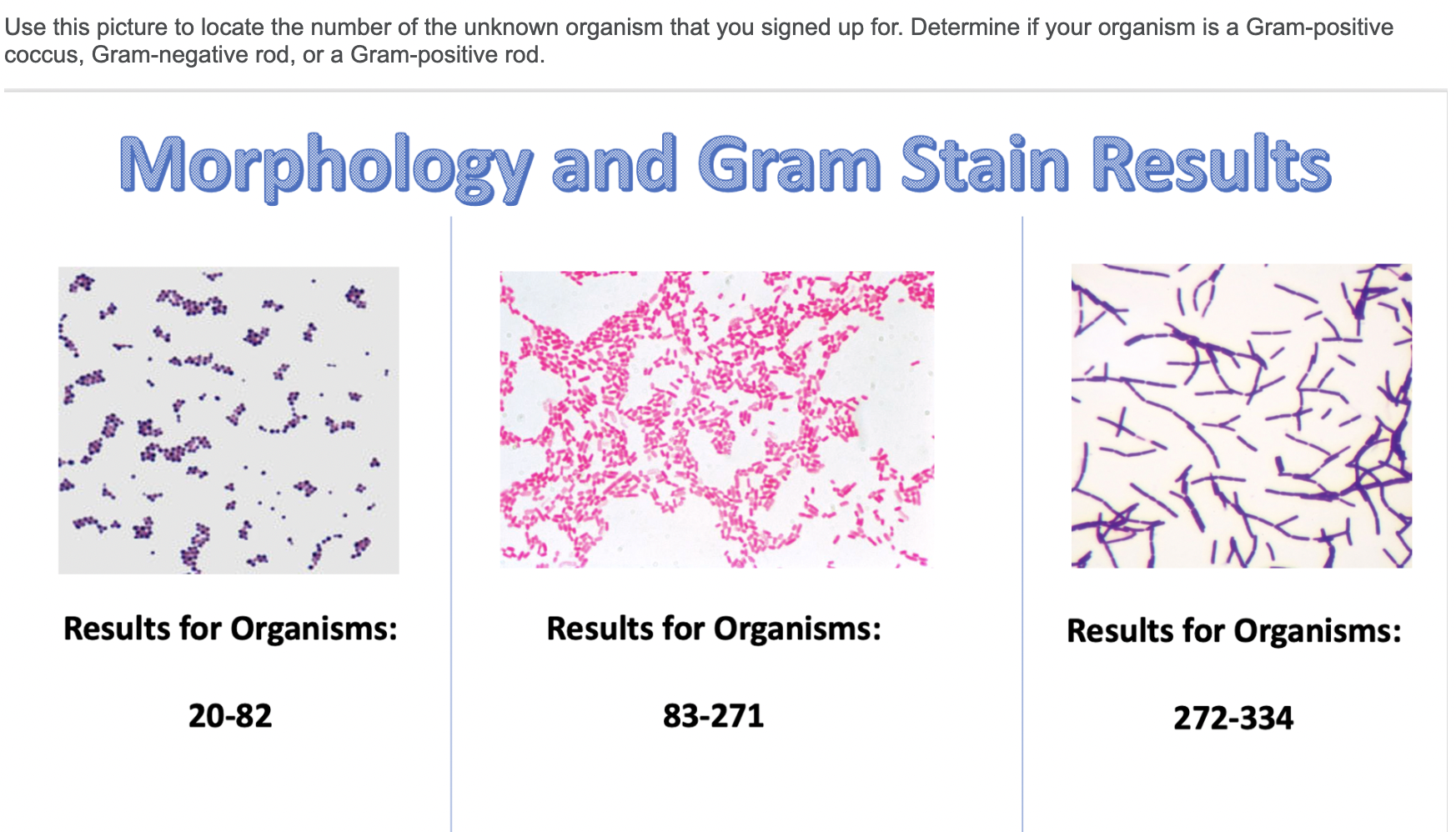 MR-VP Test: *Complete this table ONLY if you need it | Chegg.com