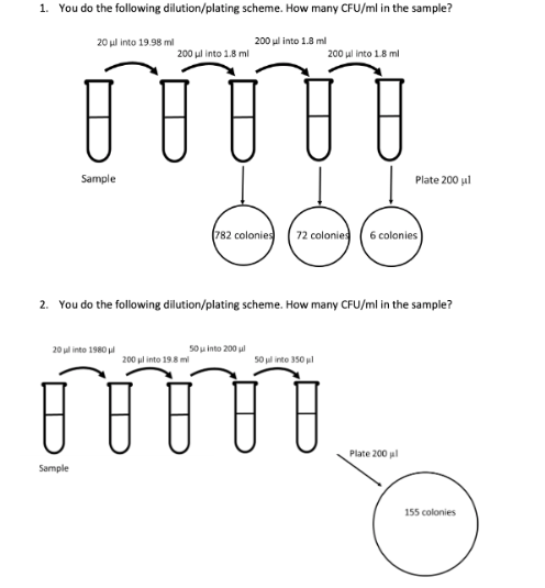Solved 1. You do the following dilution/plating scheme. How | Chegg.com