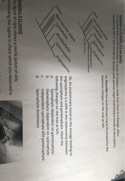 Solved 2a and 2b | Chegg.com