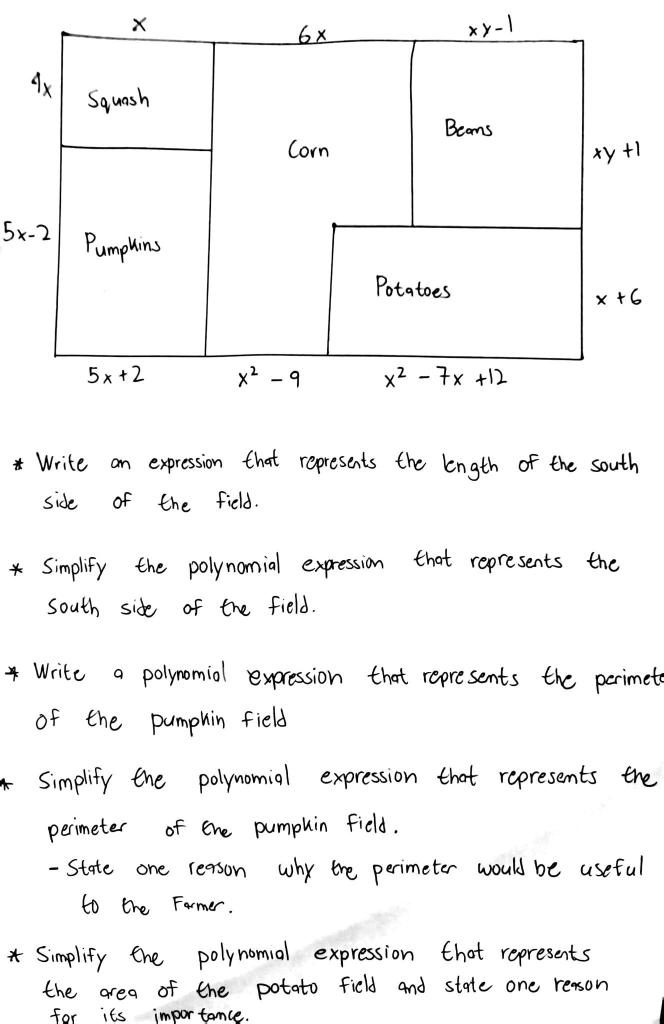 Solved * Write a polynomial expression that represents the | Chegg.com