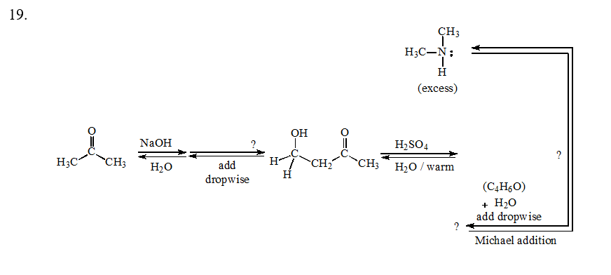 Solved 19. CH3 H3C-N: (excess) OH NaOH 0 ? A H C CH3 H2O add | Chegg.com