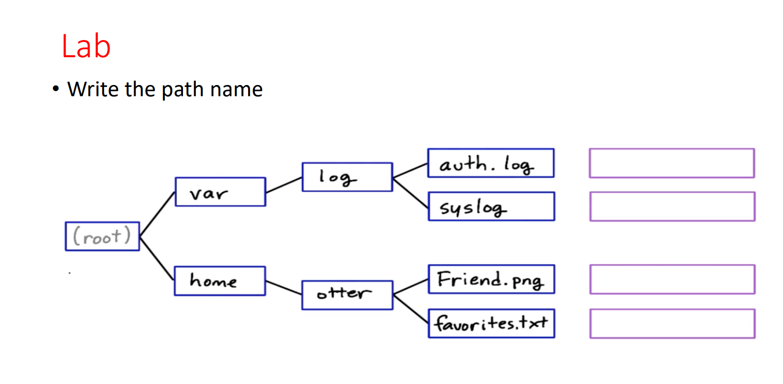 Solved Lab • Write the path name auth. Log log var syslog | Chegg.com