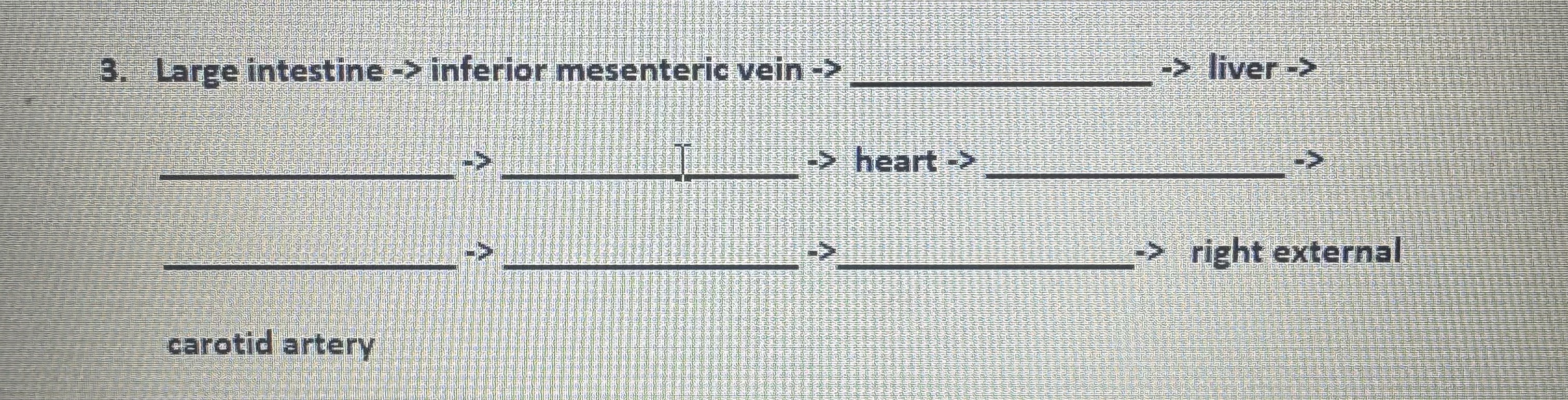 Solved Trace the blood flow for the following | Chegg.com