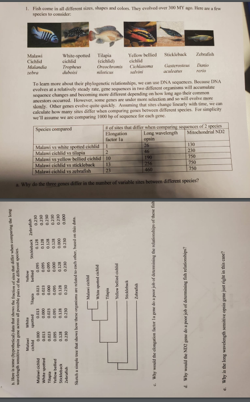 Solved Dear Expert, If you refer to how the picture was | Chegg.com
