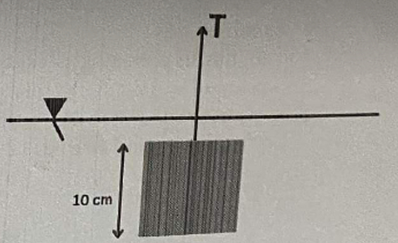 Solved Cube is submerged in water and being supported by a | Chegg.com
