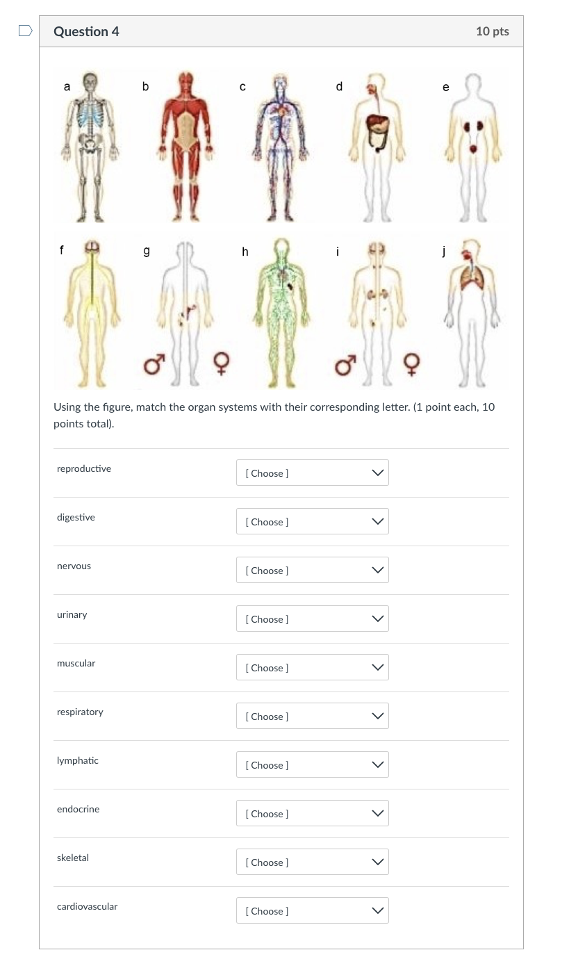 Solved bCdUsing the figure, match the organ systems with | Chegg.com