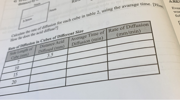 Solved Rat Cakculate the rate of diffusion for each cube in | Chegg.com