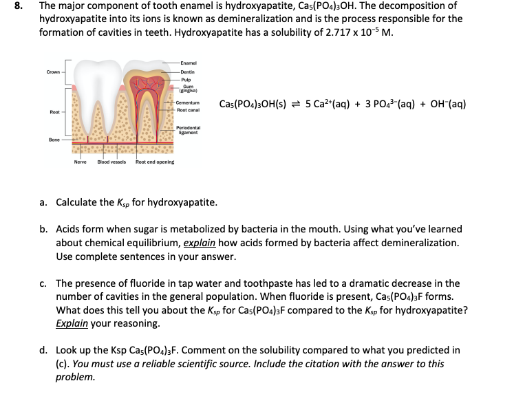 Solved 8. The major component of tooth enamel is | Chegg.com