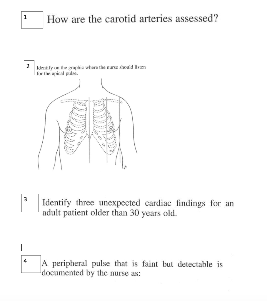 Solved 1 How are the carotid arteries assessed? 2 Identify | Chegg.com