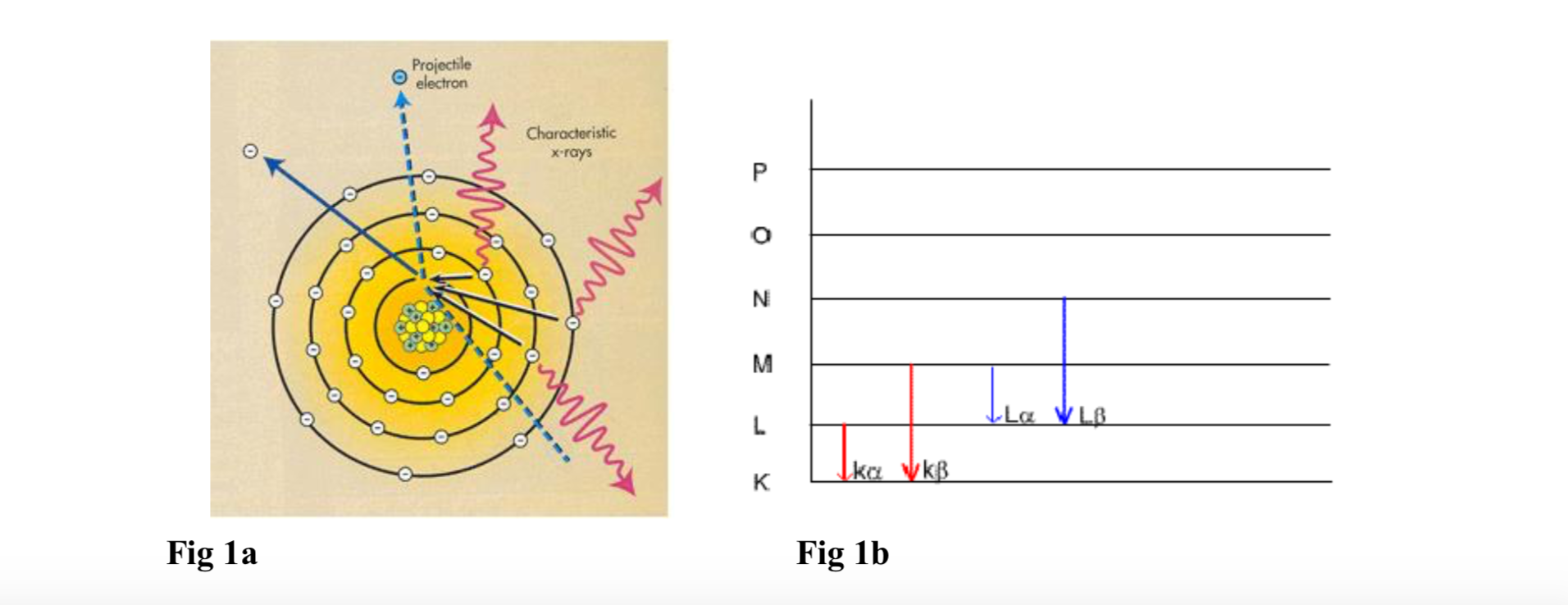 Solved Consider a high speed electron flying towards | Chegg.com