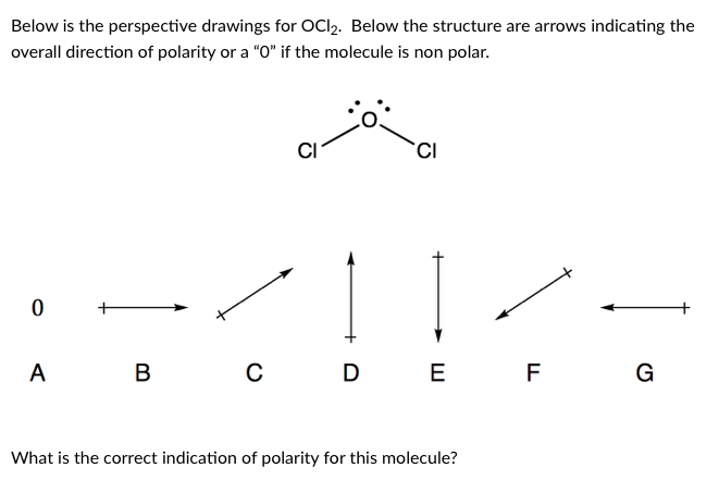 Solved Below is the perspective drawings for OCl2. Below the | Chegg.com