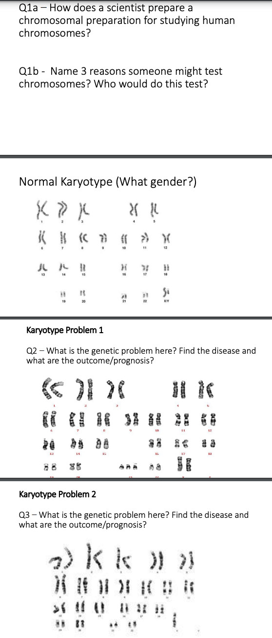 Solved Q1a - How does a scientist prepare a chromosomal | Chegg.com