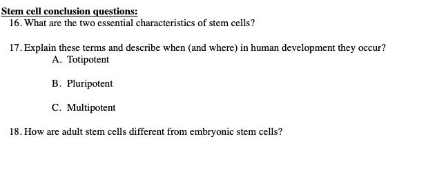 Solved Stem cell conclusion questions: 16. What are the two | Chegg.com