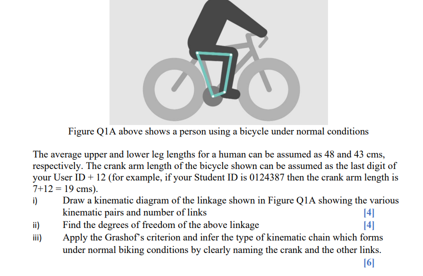 Solved The average upper and lower leg lengths for a human | Chegg.com
