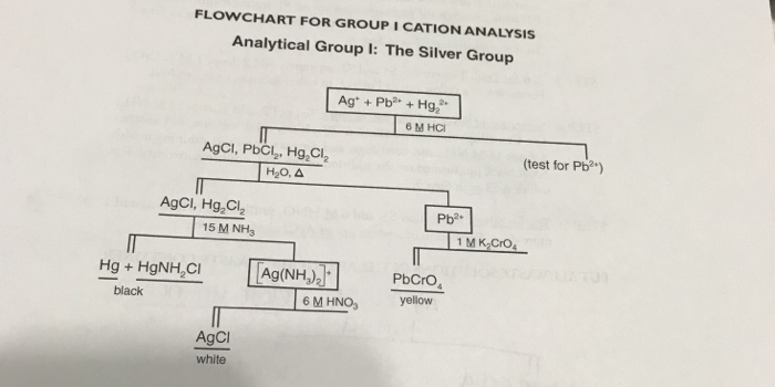 Solved FLOWCHART FOR GROUP I CATION ANALYSIS Analytical | Chegg.com