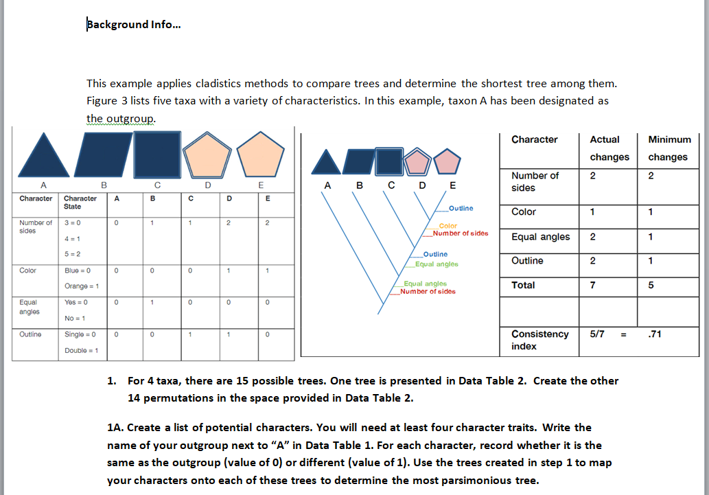 Background Info... This example applies cladistics | Chegg.com
