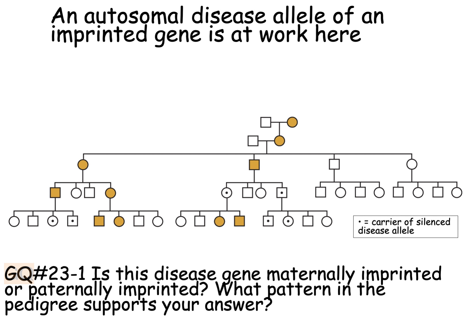 Solved GQ#23-1 ﻿Is this disease gene maternally imprintedor | Chegg.com