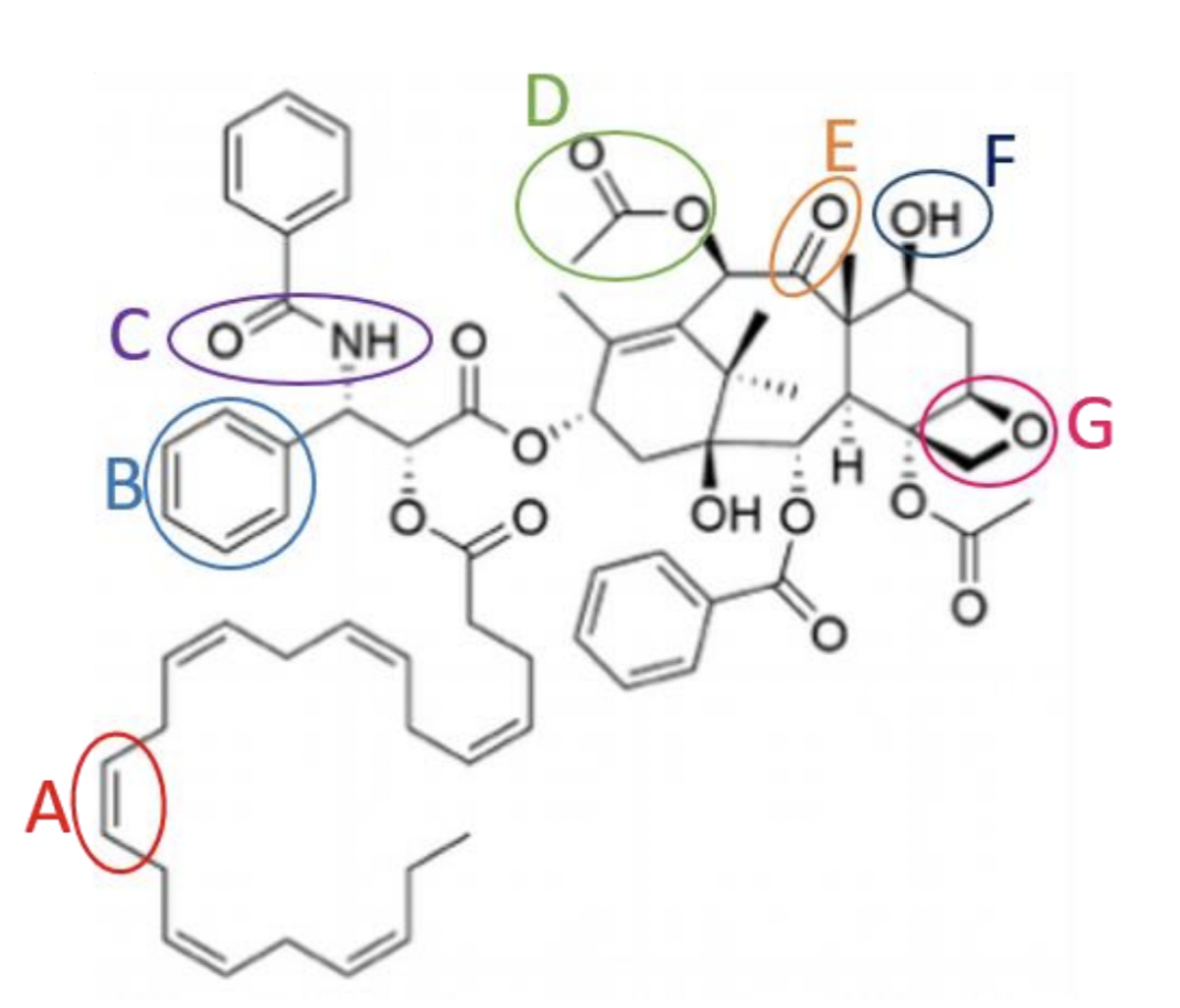 Solved The structure above contains multiple functional | Chegg.com