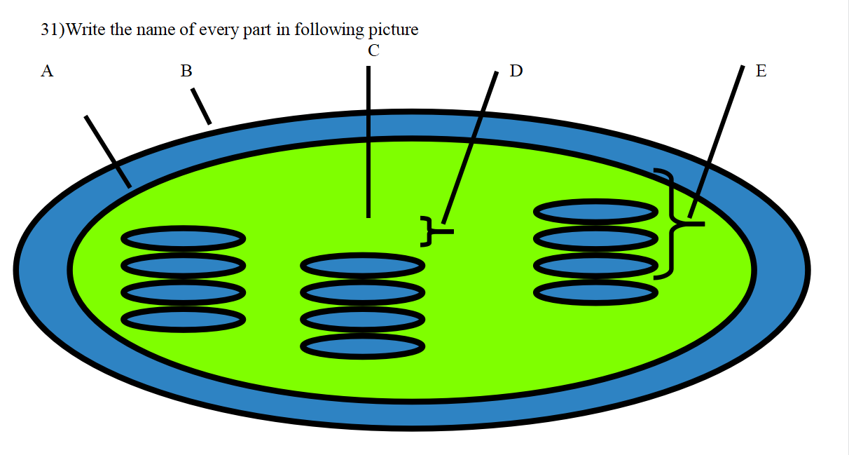 Solved 31) Write the name of every part in following picture | Chegg.com