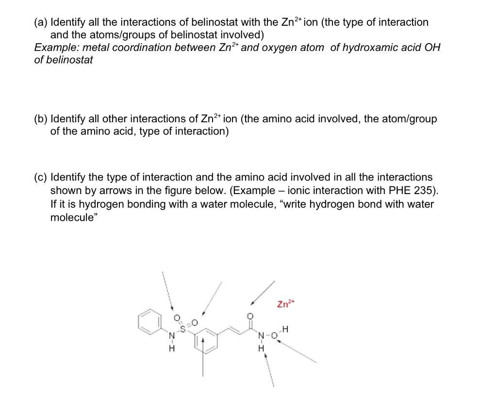 Solved (a) Identify all the interactions of belinostat with | Chegg.com