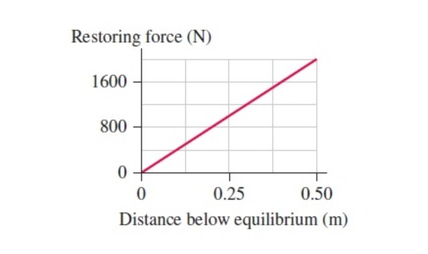 Solved When you stand on a trampoline, the surface depresses | Chegg.com
