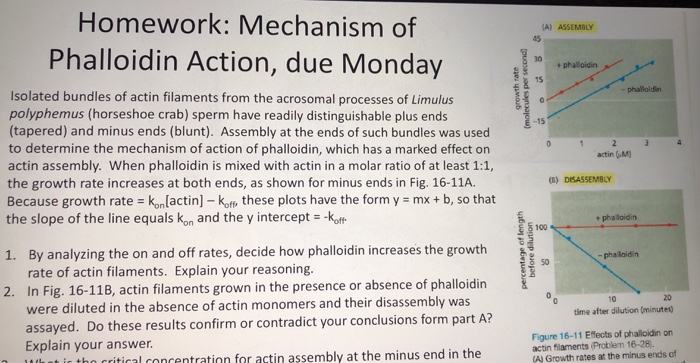 Solved Homework: Mechanism of Phalloidin Action, due Monday | Chegg.com